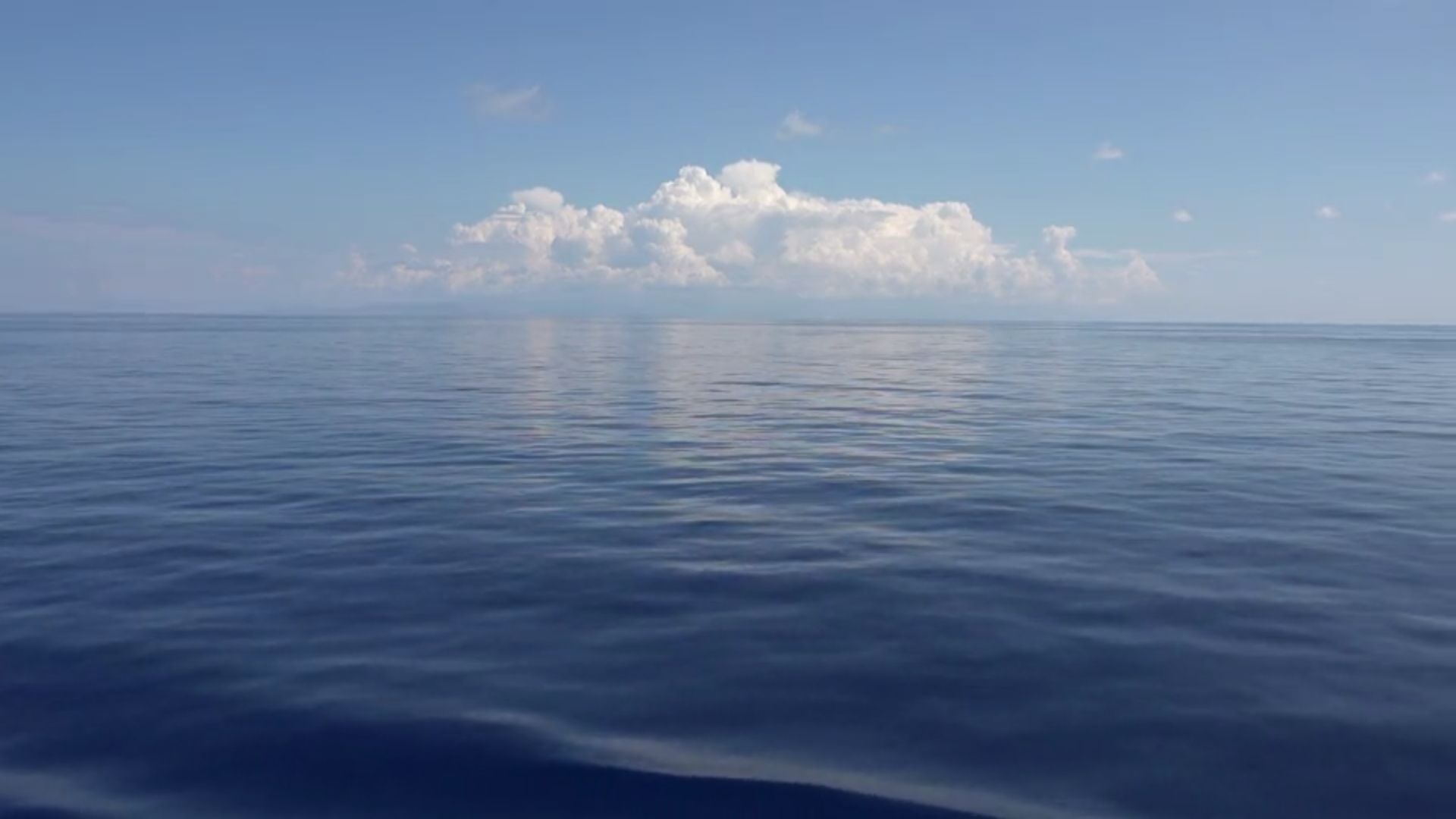 inonda-7-1920x1080 | Inonda